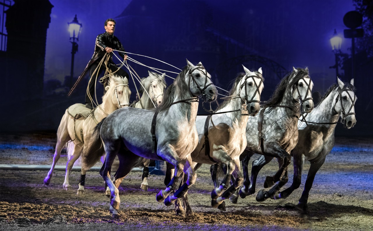 APASSIONATA | viega.de